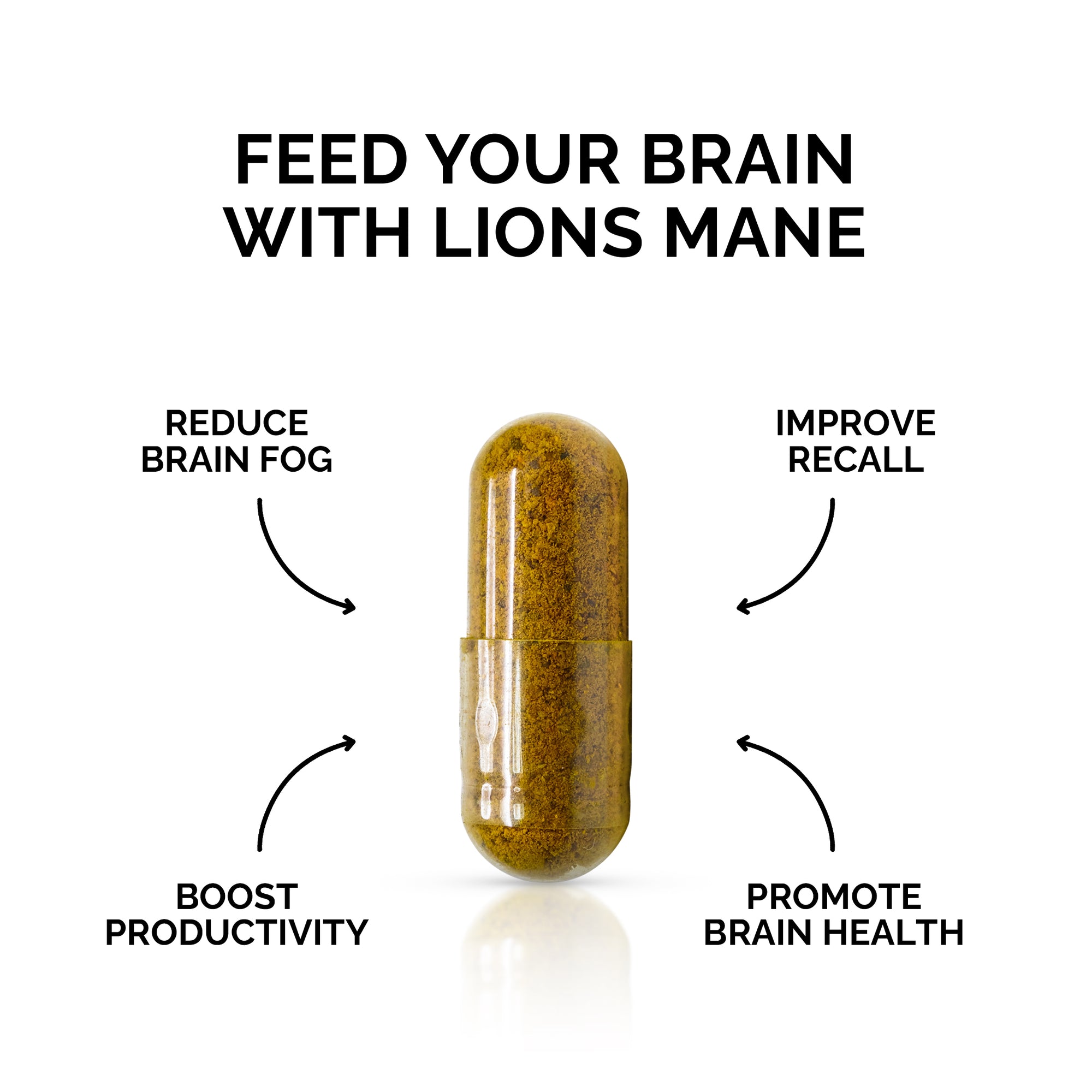 Australian Lion's Mane Mushroom Capsules | Forest Super Foods